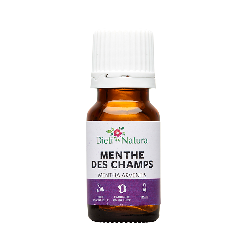 Huile Essentielle Menthe Arvensis 10ml | Dieti Natura