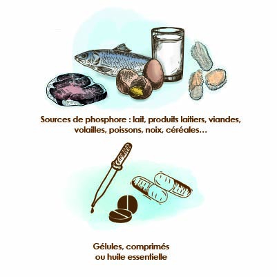 Qu'est-ce que le Phosphore ? Origine, Bienfaits et Posologie | Dieti Natura